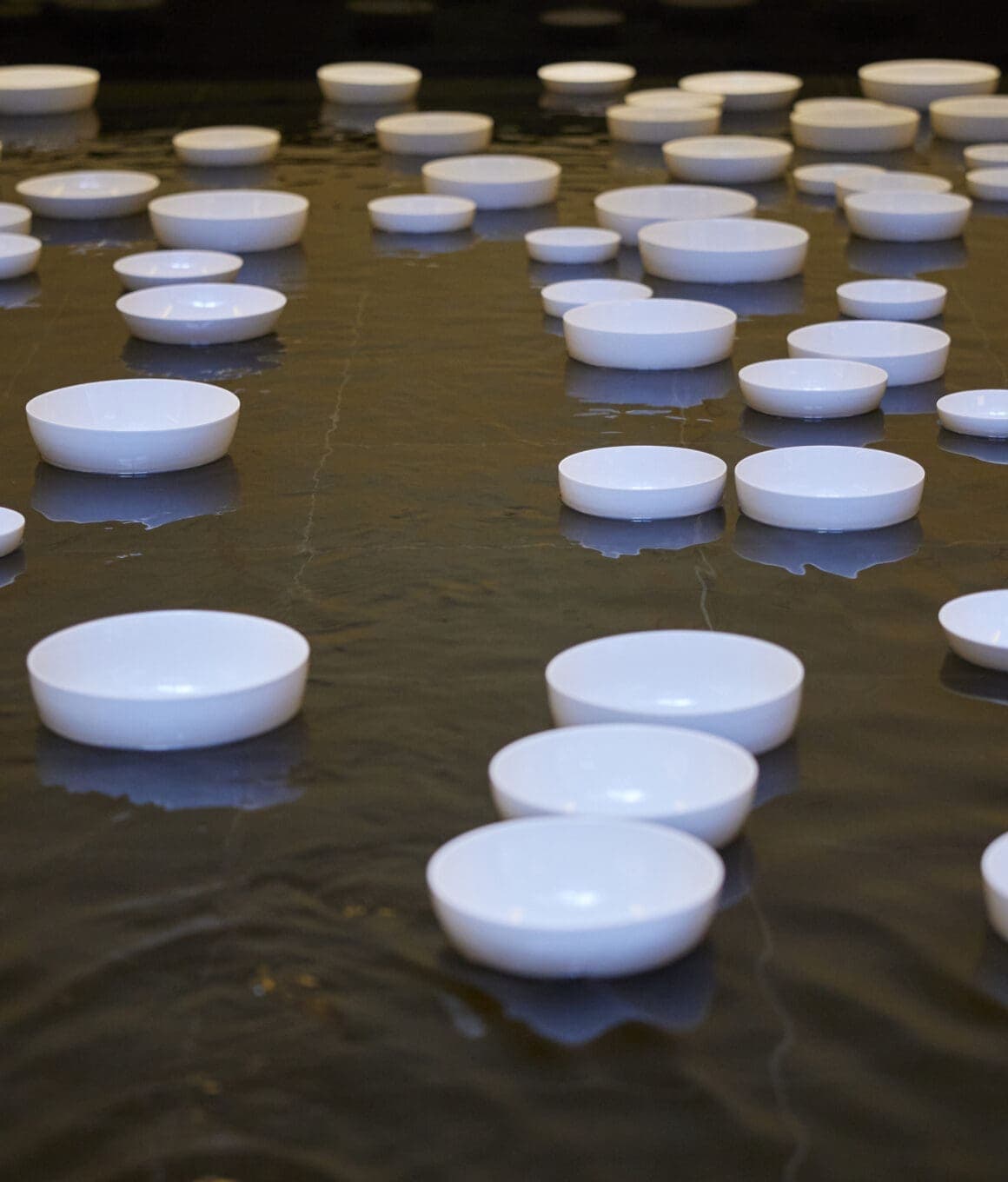 About L1 Capital | Dedicated to Investment Excellence