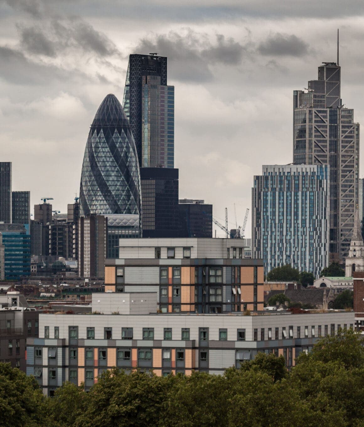 Explore L1 Capital's Diverse Investment Funds